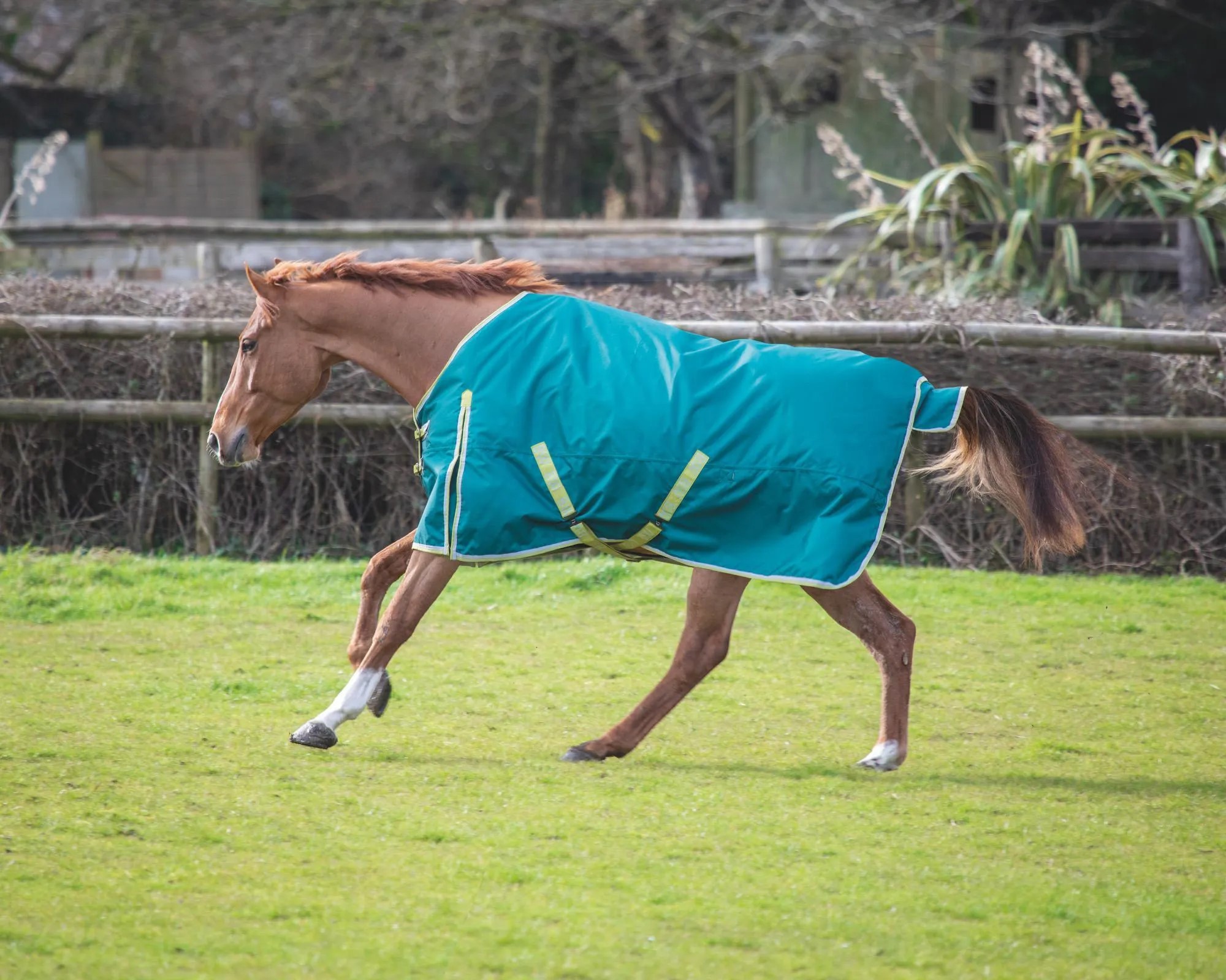 Bridleway Ontario 100g Turnout Rug